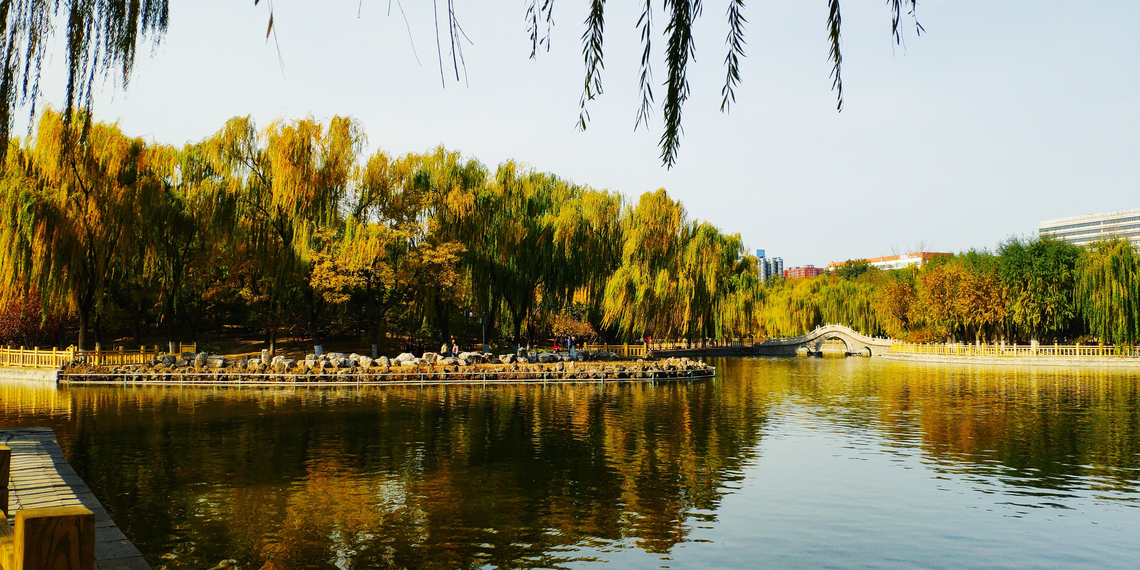 DirectByteBuffer堆外内存溢出问题排查 - 凛冬夜行